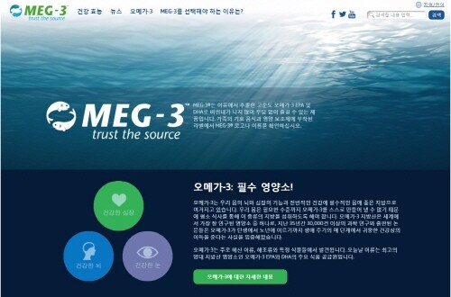 DSM ‘MEG-3’ 한글 홈페이지 서비스 시작